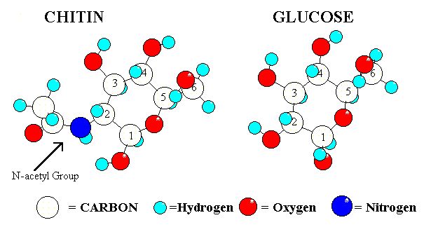 Materials Science and Technology Dictionary